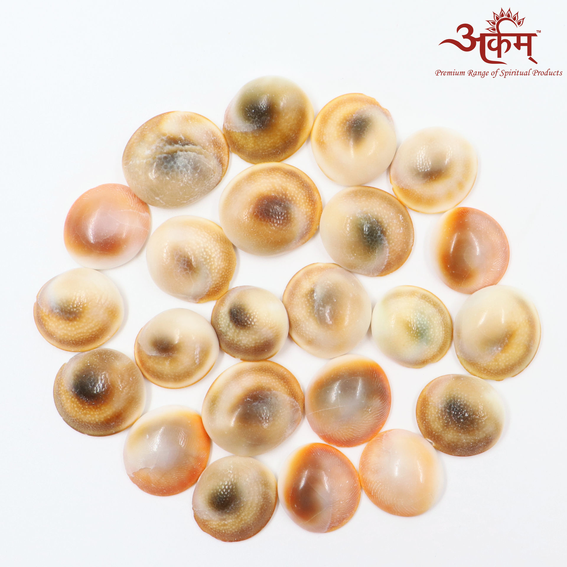 Arkam - Premium range of spiritual products|Arkam Gomti Chakra / Gomati ...