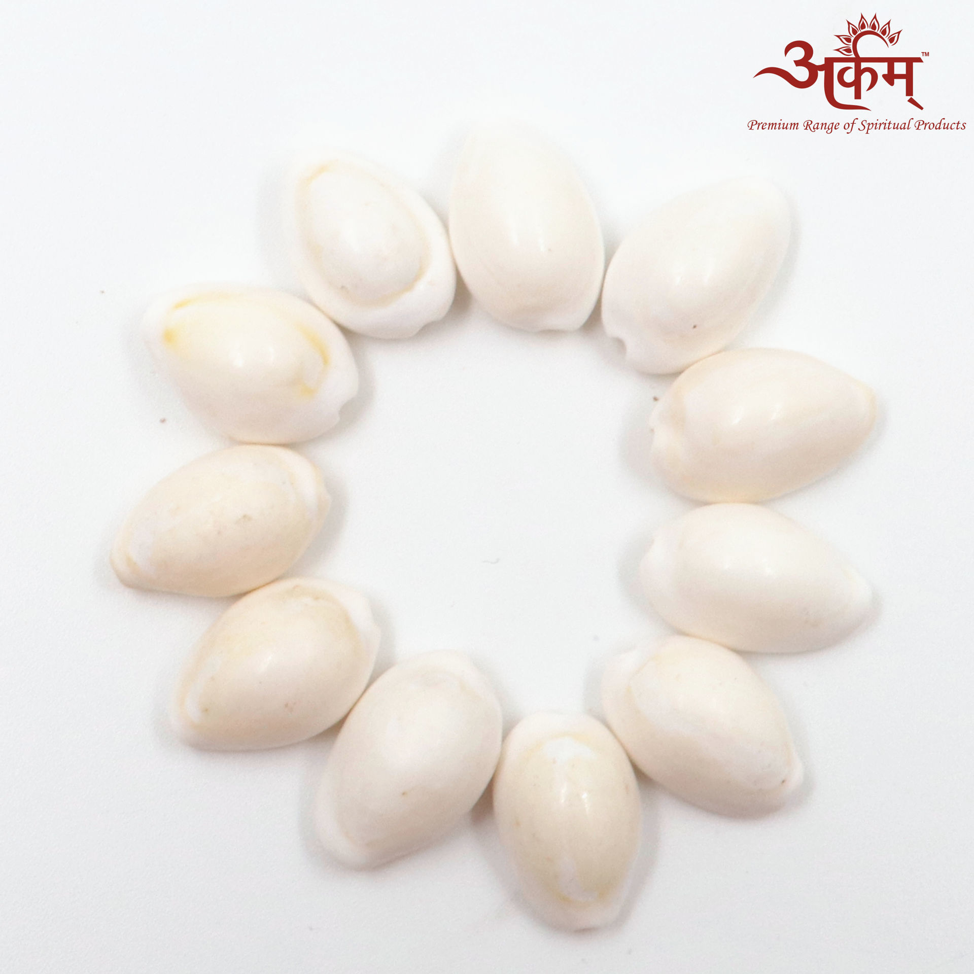 Arkam - Premium range of spiritual products|Arkam White Kauri / Safed ...