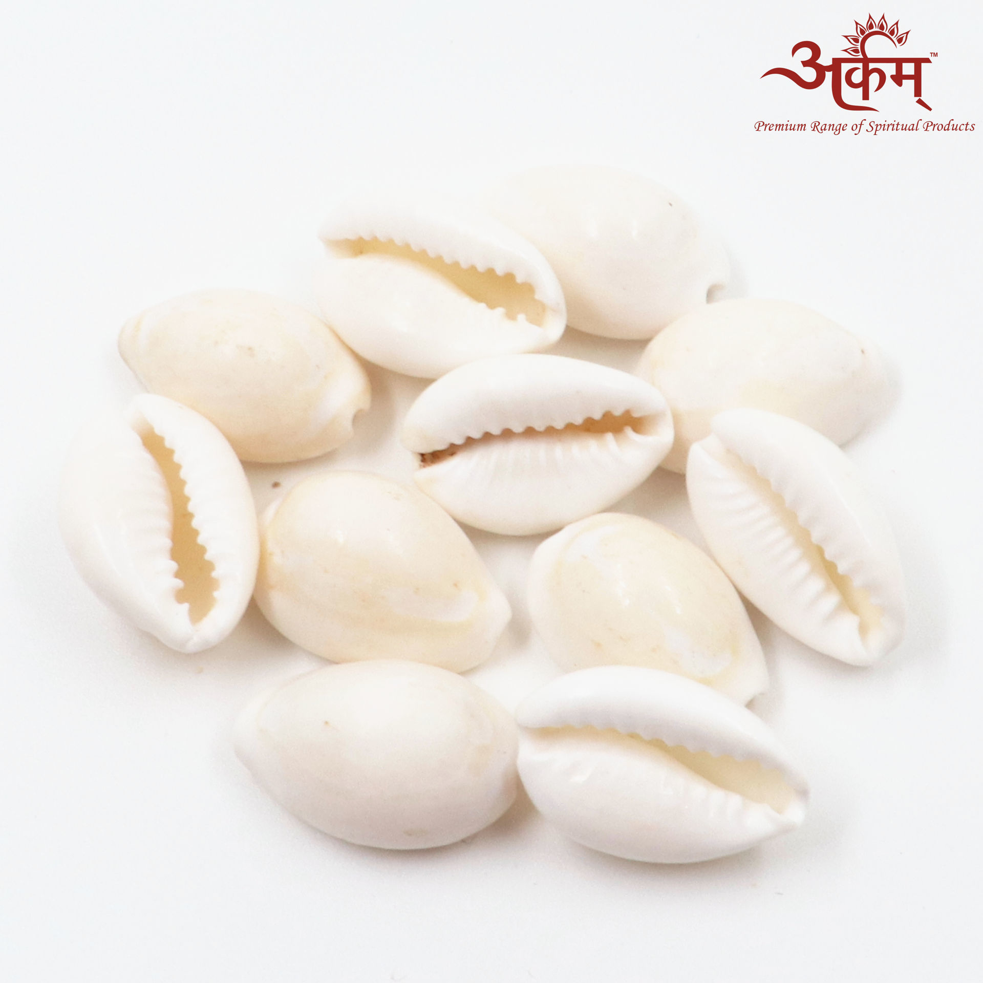 Arkam - Premium range of spiritual products|Arkam White Kauri / Safed ...
