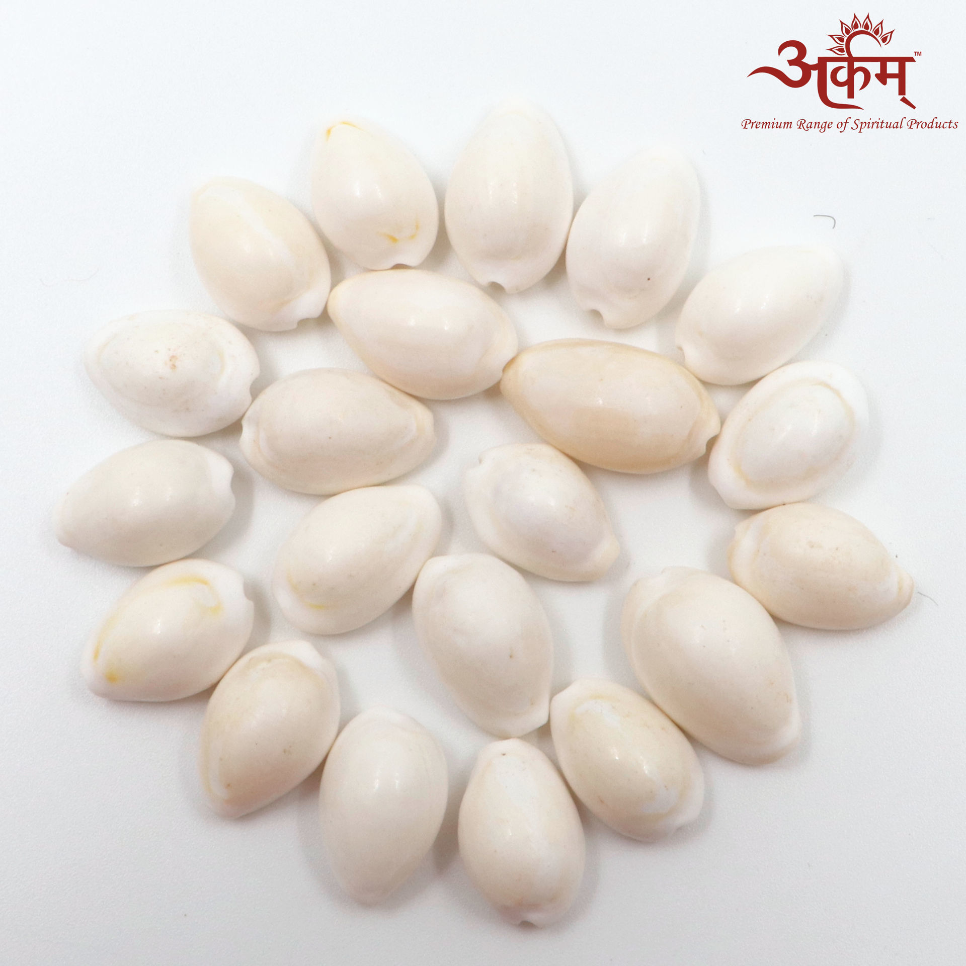 Arkam - Premium range of spiritual products|Arkam White Kauri / Safed ...