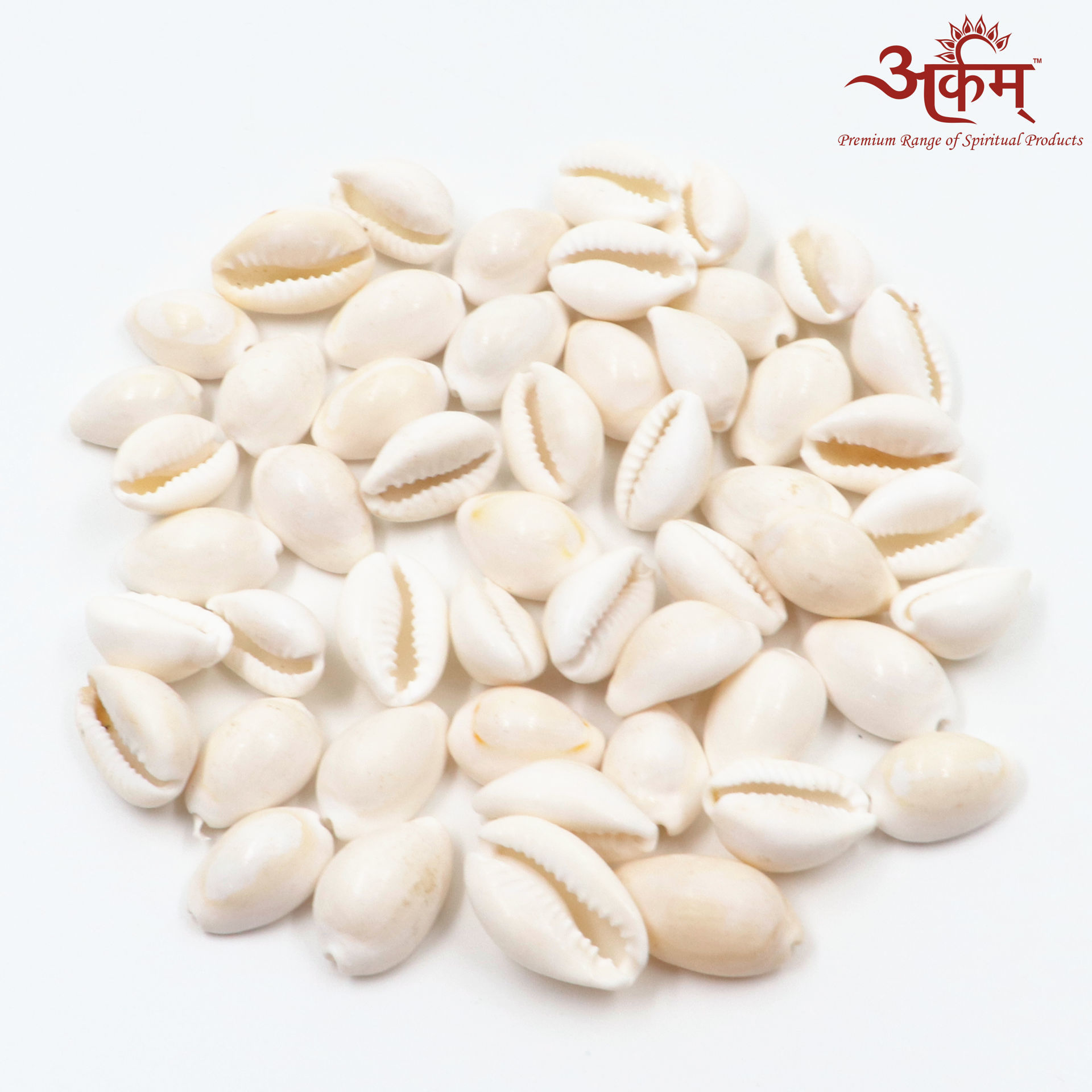 Arkam - Premium range of spiritual products|Arkam White Kauri / Safed ...