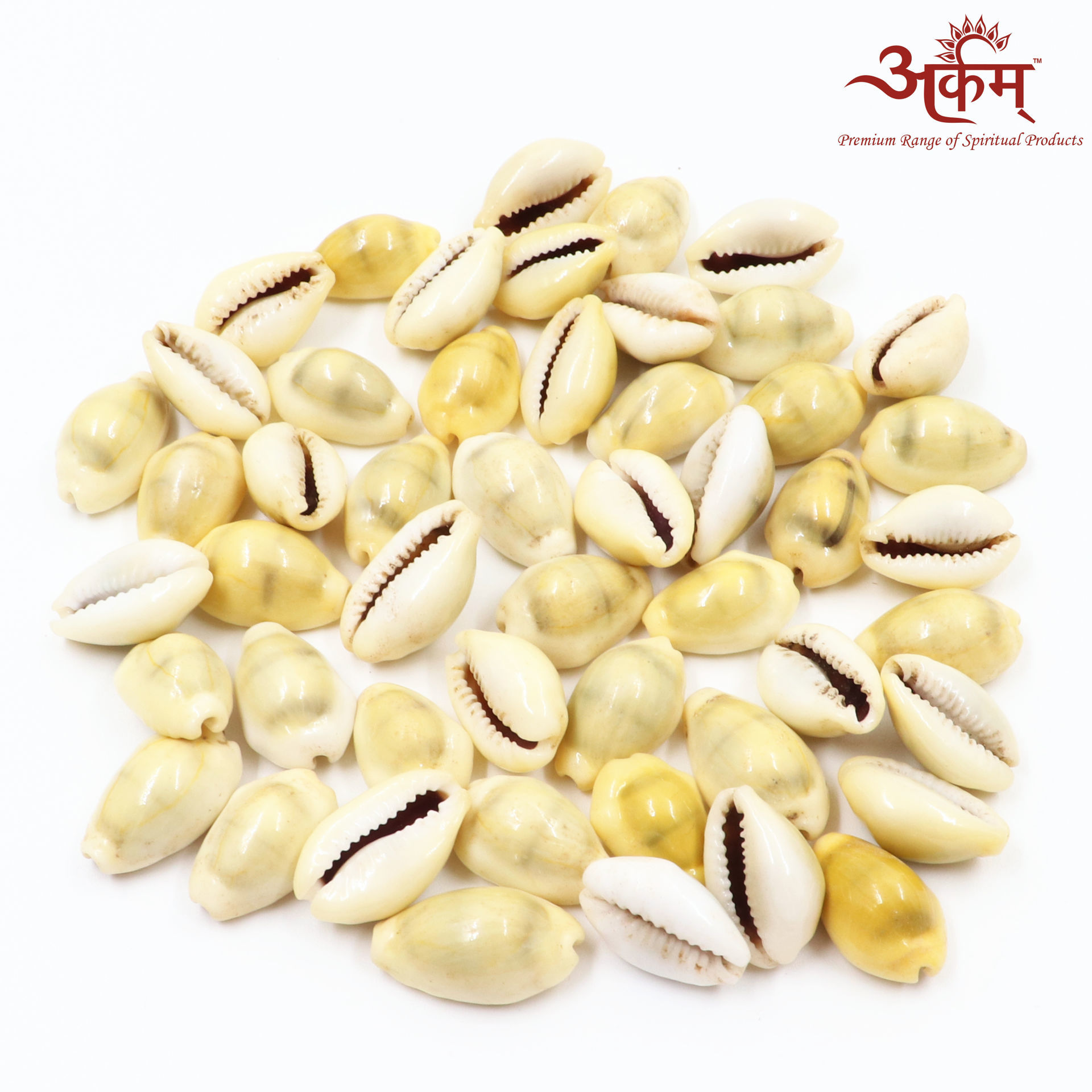 Arkam - Premium range of spiritual products|Arkam Yellow Kauri / Peeli ...